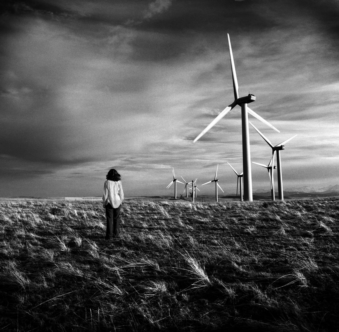 Alberta Views - The Magazine for Engaged Citizens